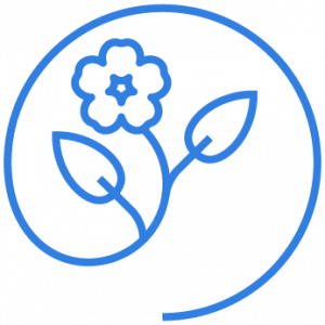 DEMGY EIS | Luftfahrt aus Kunststoff.